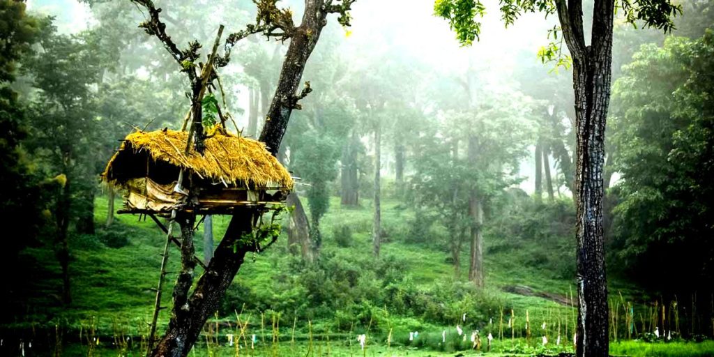 Wayanad Attractions, Things to do in Wayanad, Explore Wayanad
