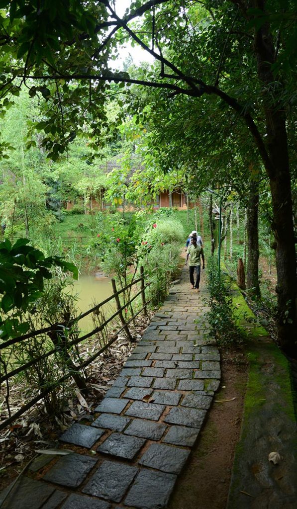 Wayanad Attractions, Things to do in Wayanad, Explore Wayanad